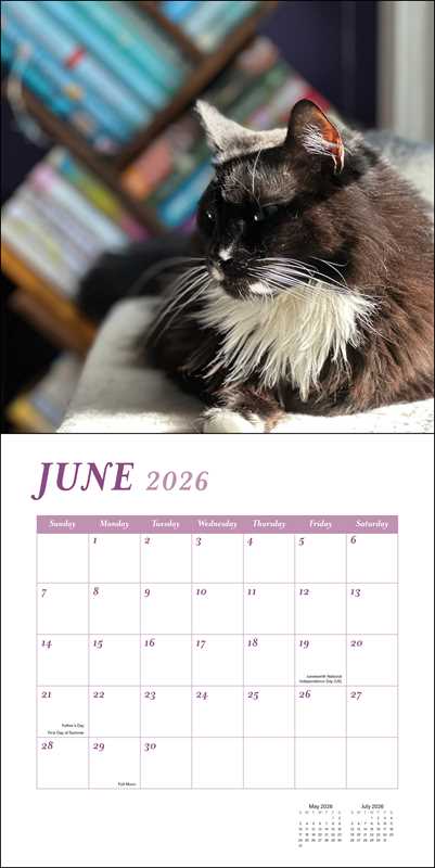 Cats and Books 2026 Wall Calendar by Rizzoli Universe | Hartford Prints