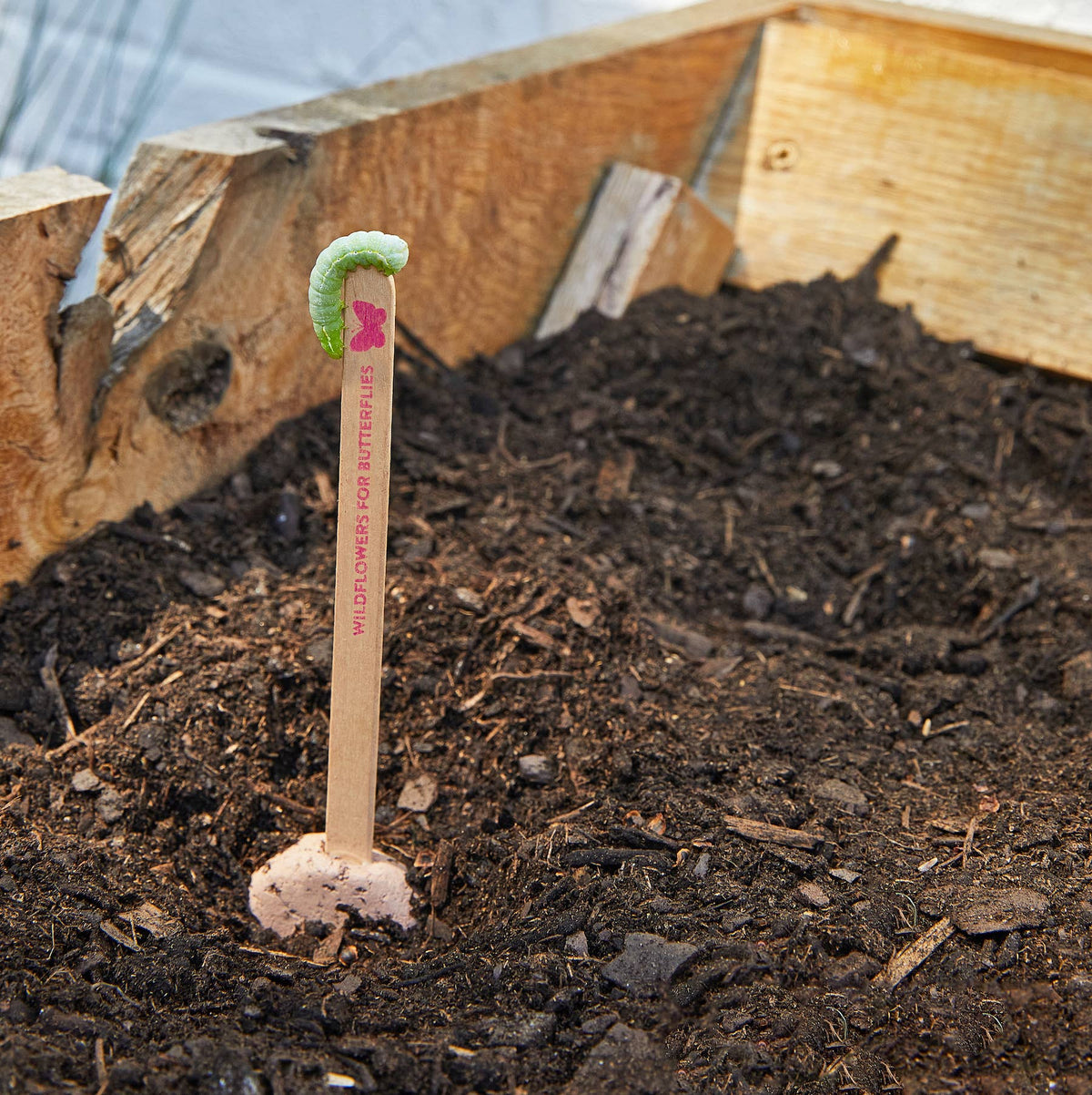 Pollinator Seed Pops - Humble Bee | Hartford Prints